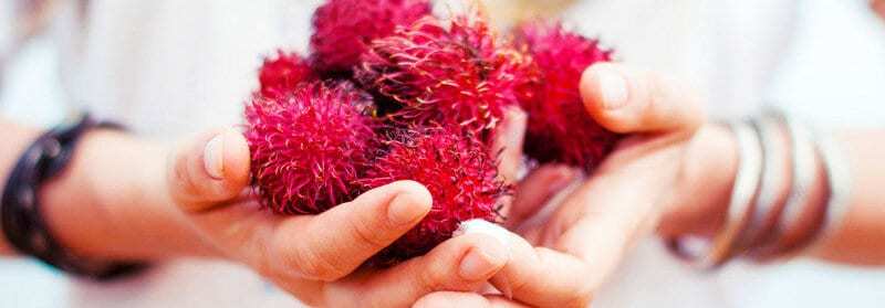 Metaloproteinazy a zdrowie jamy ustnej - Dentysta.eu - Marcin Krufczyk